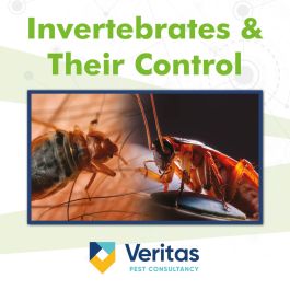 Invertebrates and Their Control Online Training Course | 1Env Pest ...