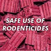 Pest Control Training Courses by 1env Solutions - 1env Solutions